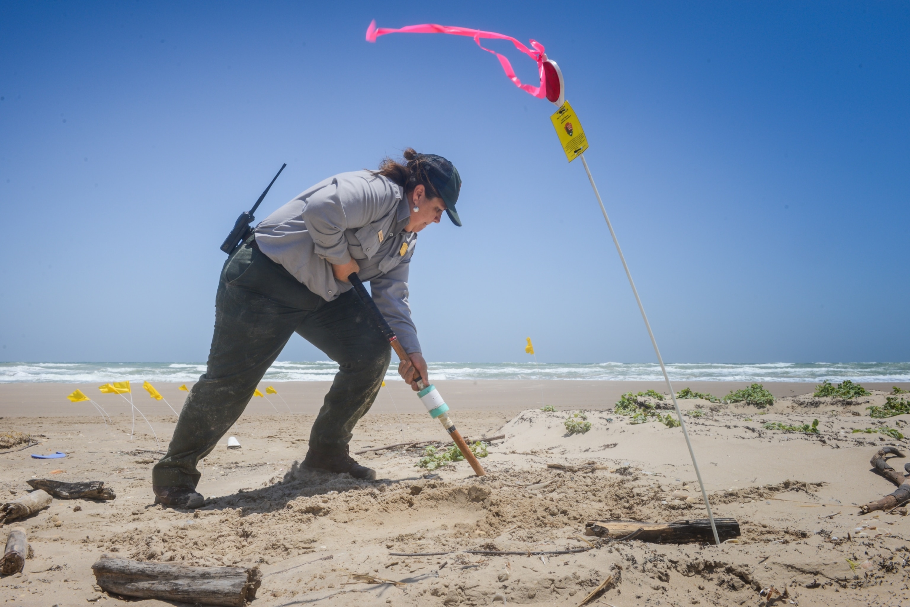 8 Pictures From Inside Sea Turtle Rescue and Rehab