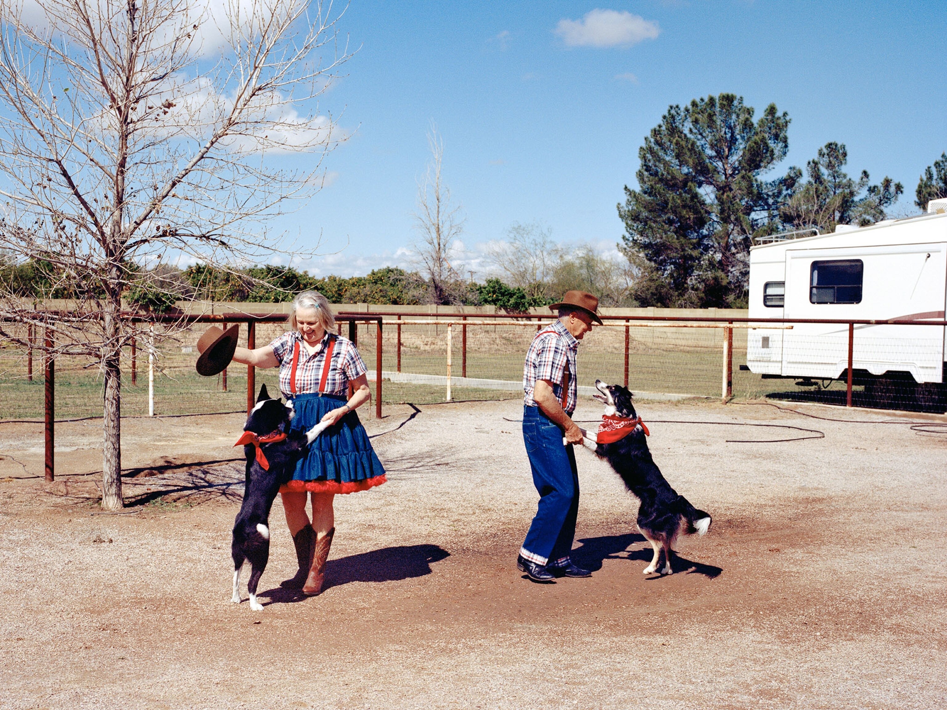 Photographing the Curious World of Dancing With Dogs