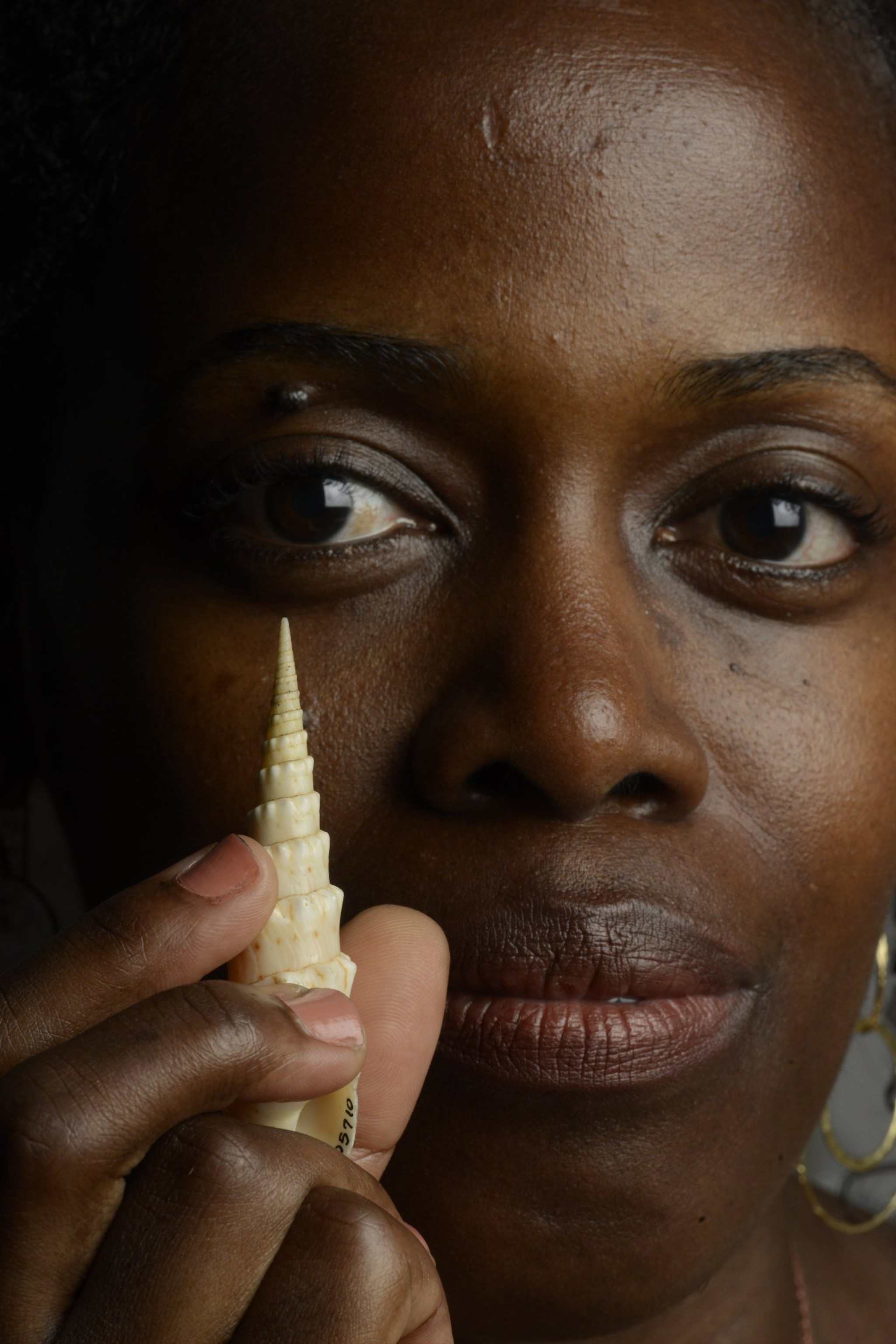 How harnessing the powers of venom could lead to new medicines