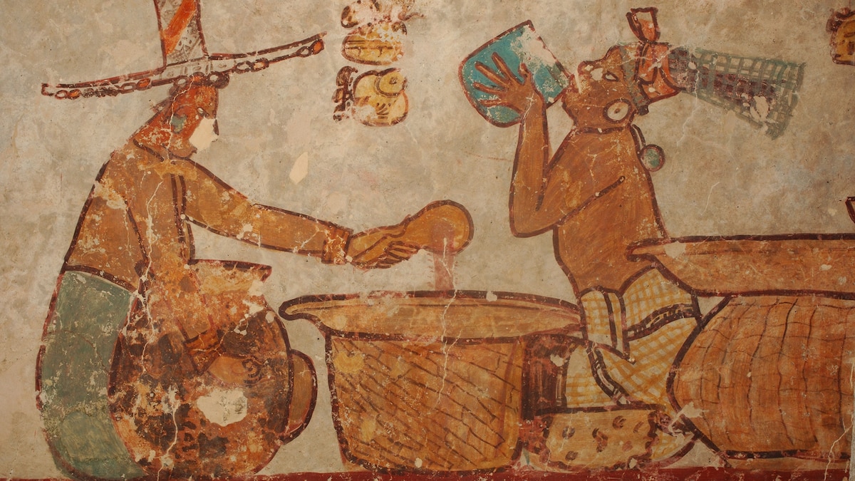 Chocolate gets its origin and domestication story rewritten | National ...