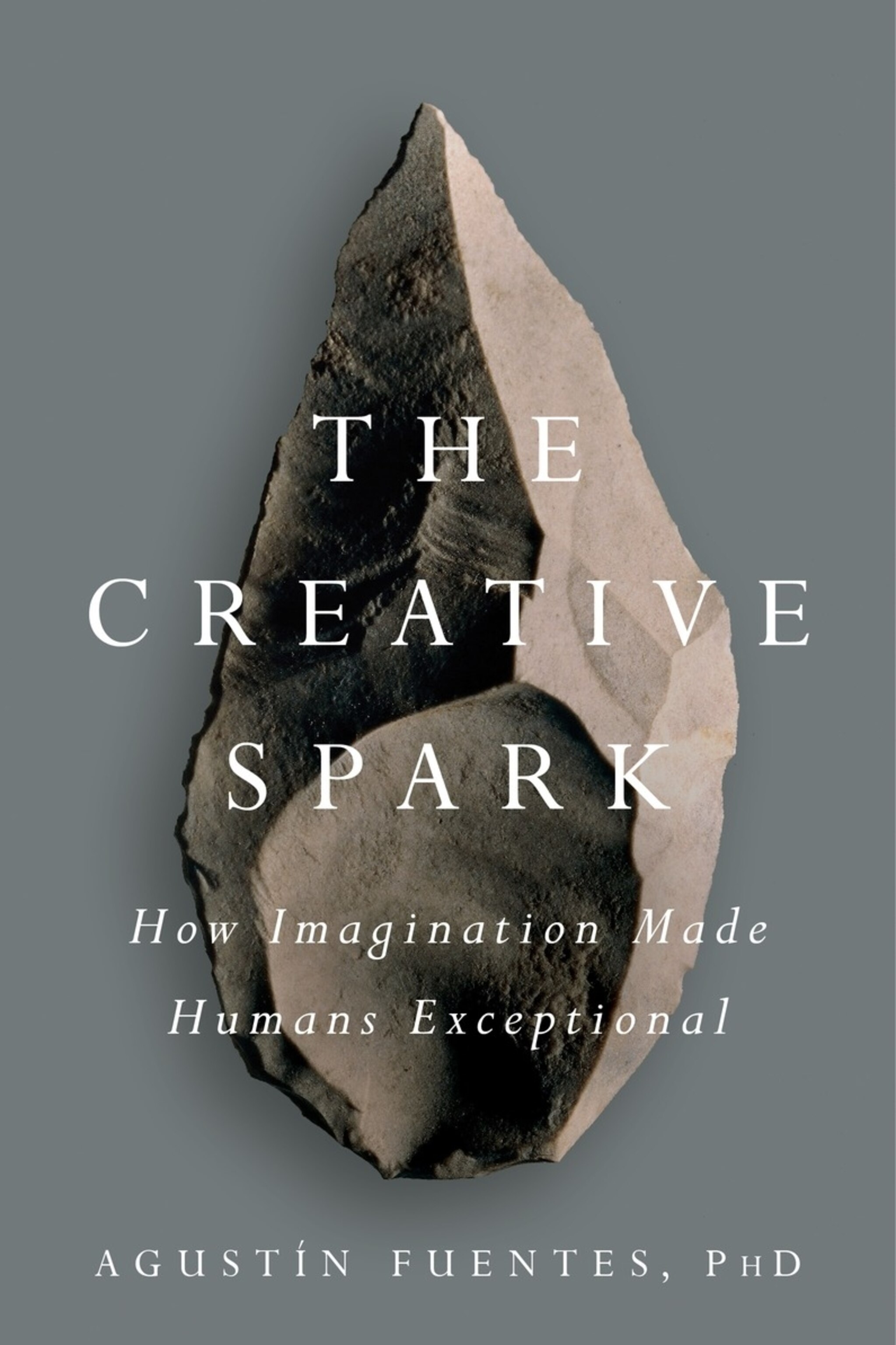 How Creativity Drives Human Evolution