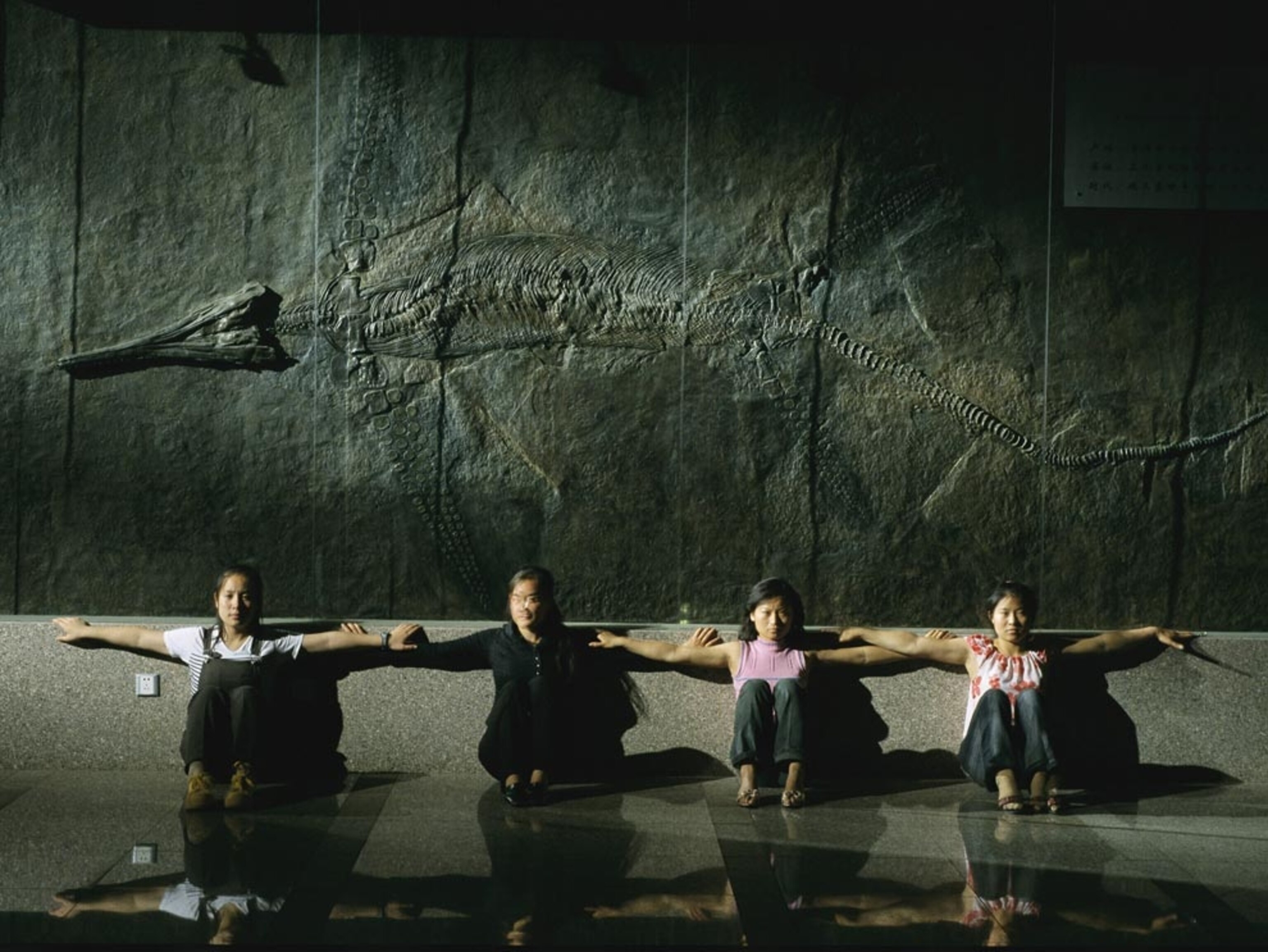 Jurassic Period Artwork, Photos, Dinosaur Photos -- National Geographic