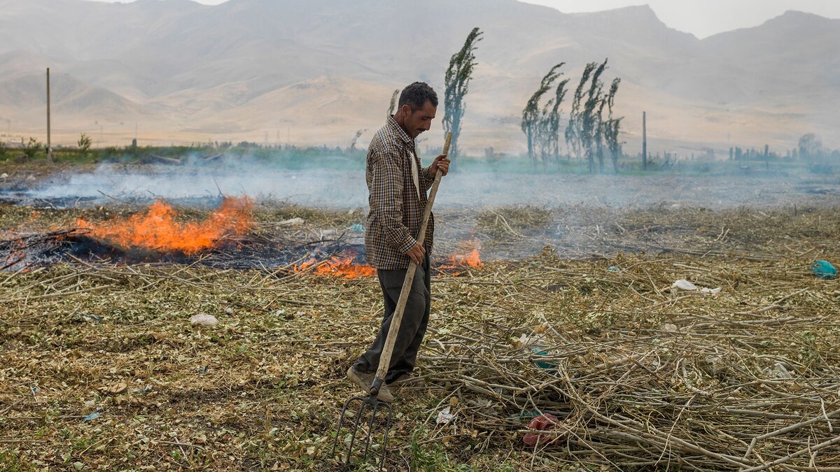 U.N. report calls for ‘urgent action’ to protect the environment ...