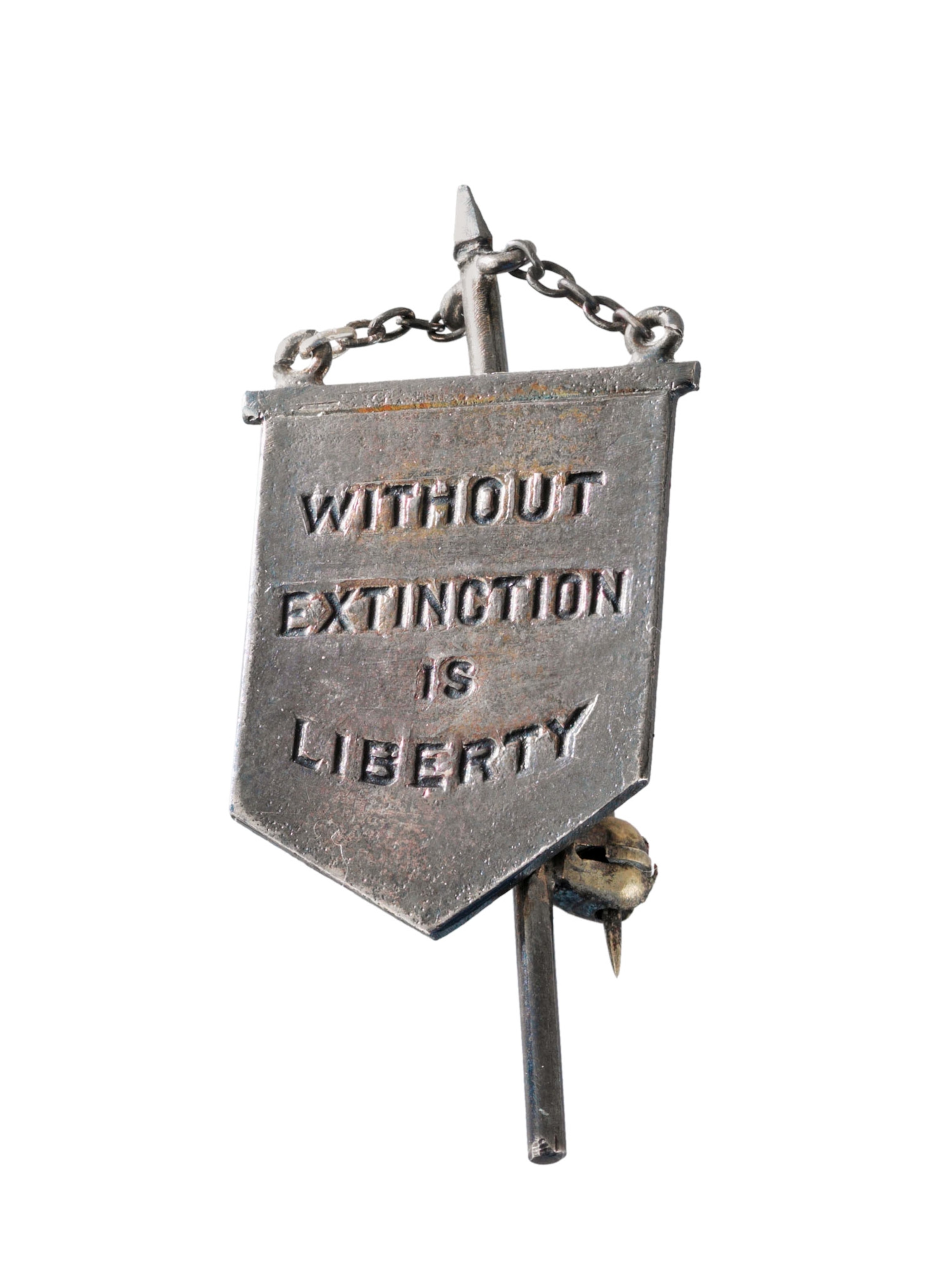 The Silent Sentinels' Fight for the 19th Amendment