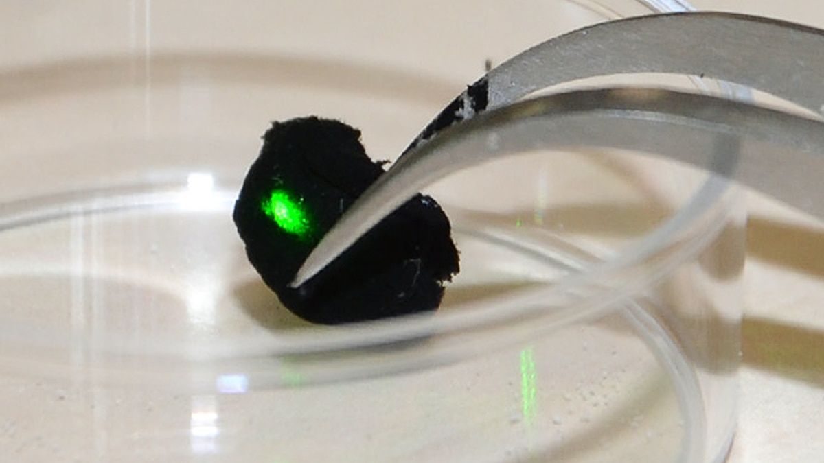 Pictures: Lightest Material Ever Created? | National Geographic