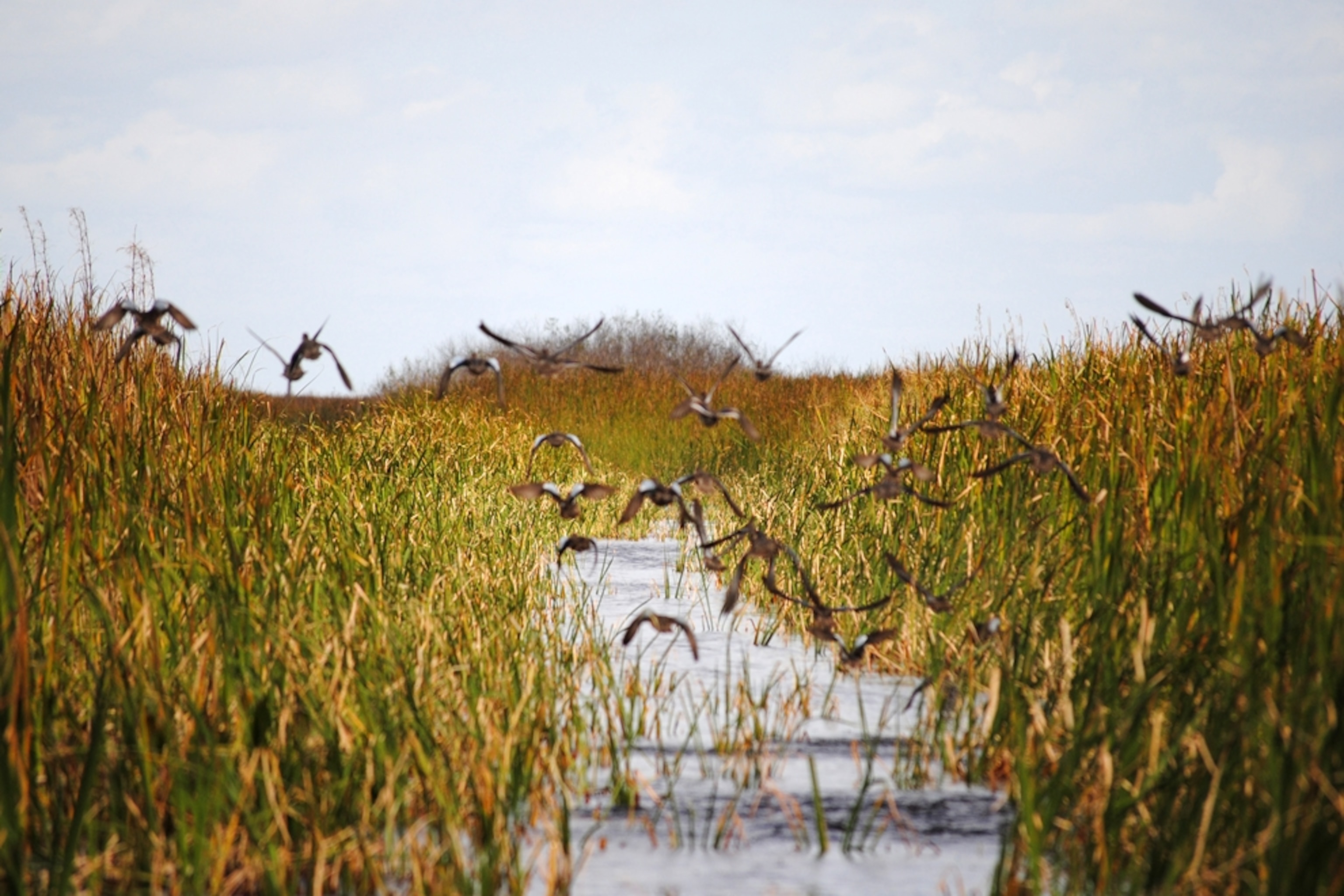 Earth Day Pictures—National Geographic