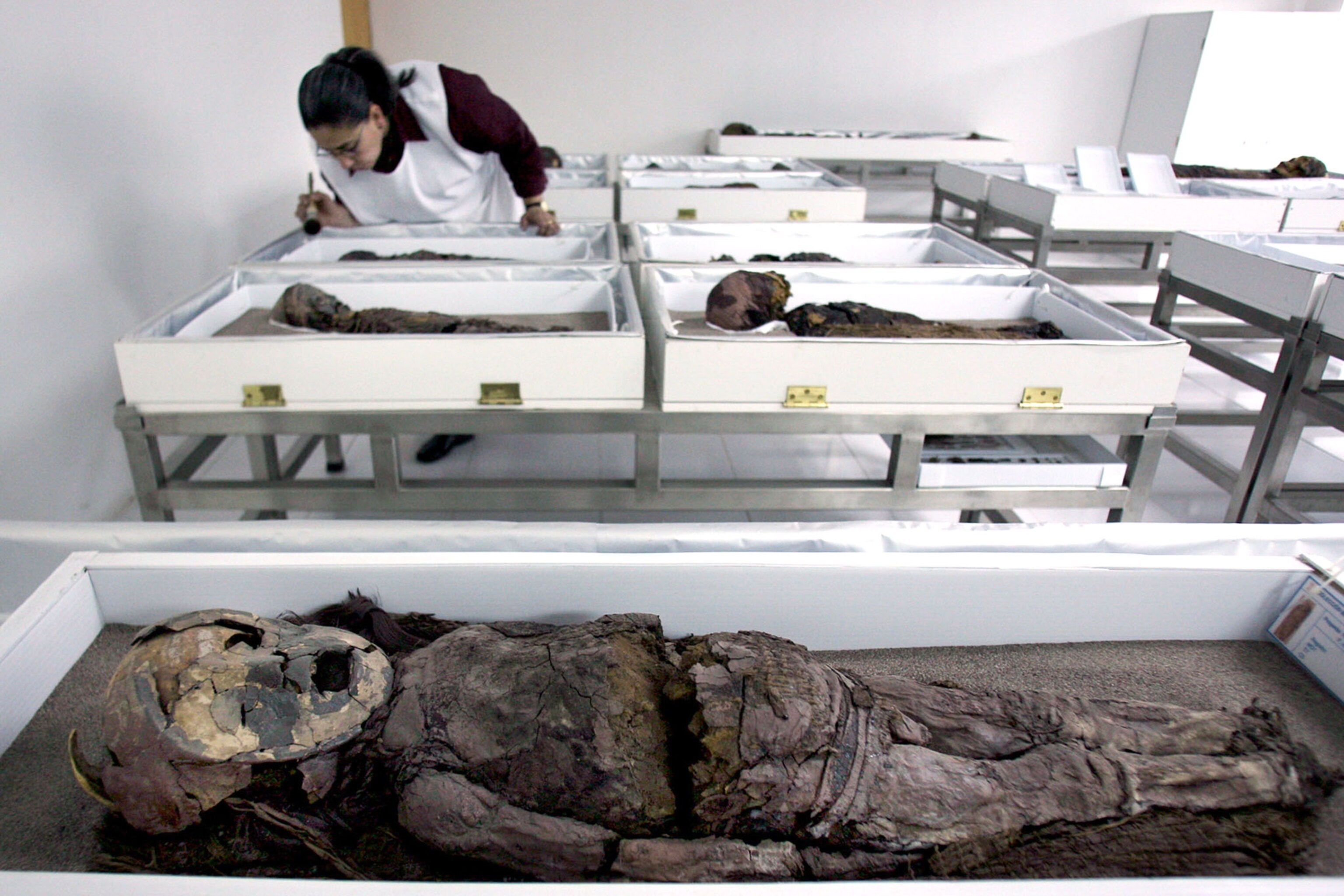 Mummies Around the World—Dried, Smoked, or Thrown in a Bog