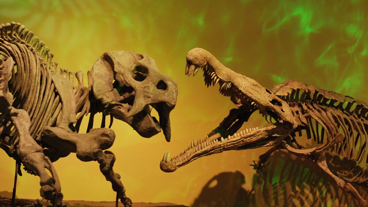 Taking a Bite Out of Time | National Geographic