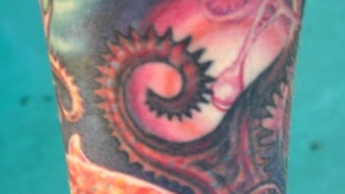Cephalopod | National Geographic